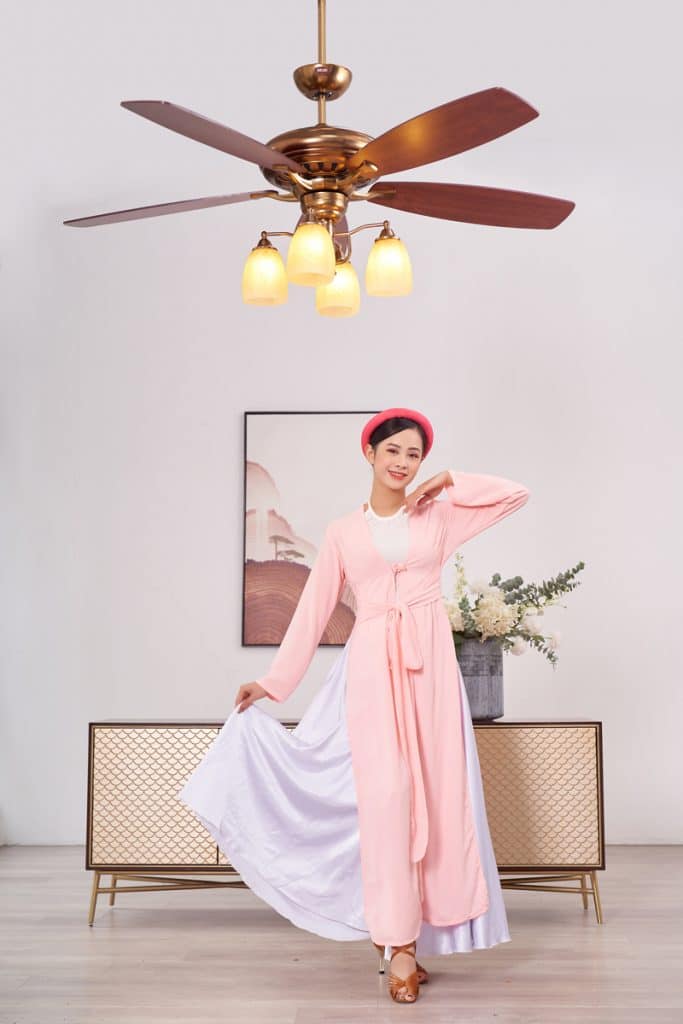 Top 8 Ceiling Fan models with 4 Super Features:" Luxury, Beautiful ...